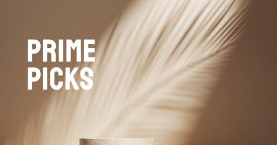 Prime Picks | Premium Brands, Discounted Prices, Luxury Imports